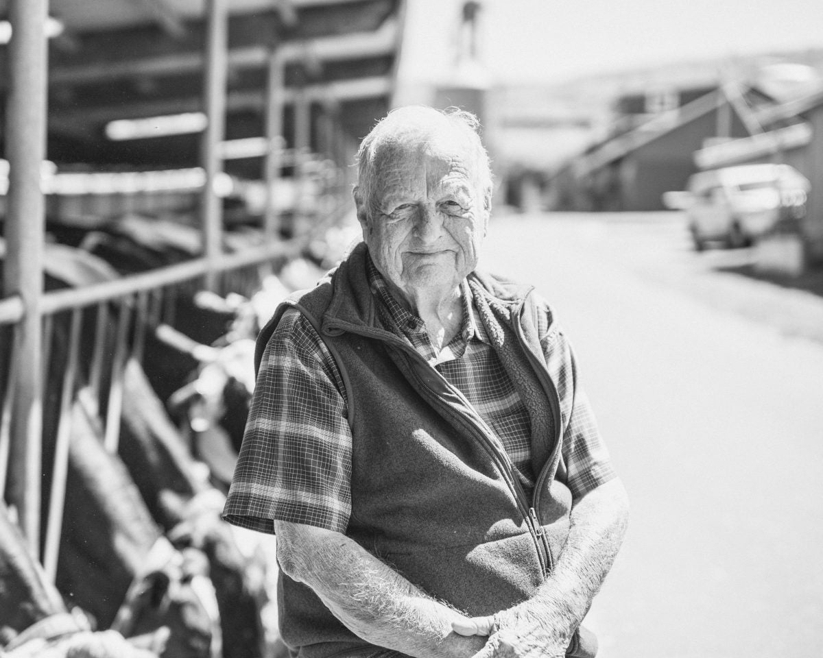 Dairy Legend to Lead Parade - Point Reyes Light June 5, 2025 – Point ...