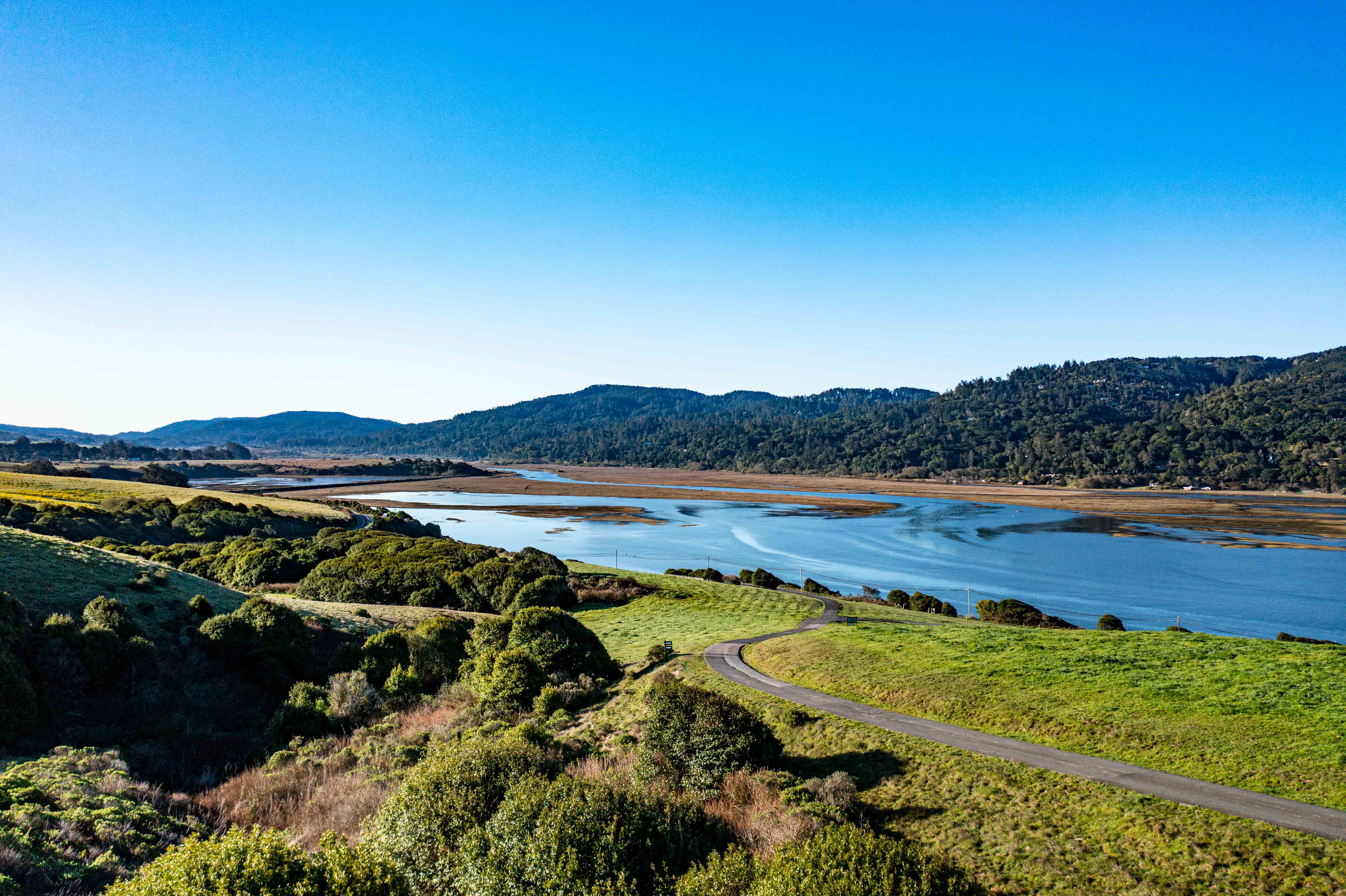 Award-Winning Summer for Point Reyes Farmstead Cheese Co. – Point Reyes ...