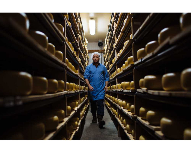 Point Reyes' Toma perfect for snacking, cooking and pairing – Point ...