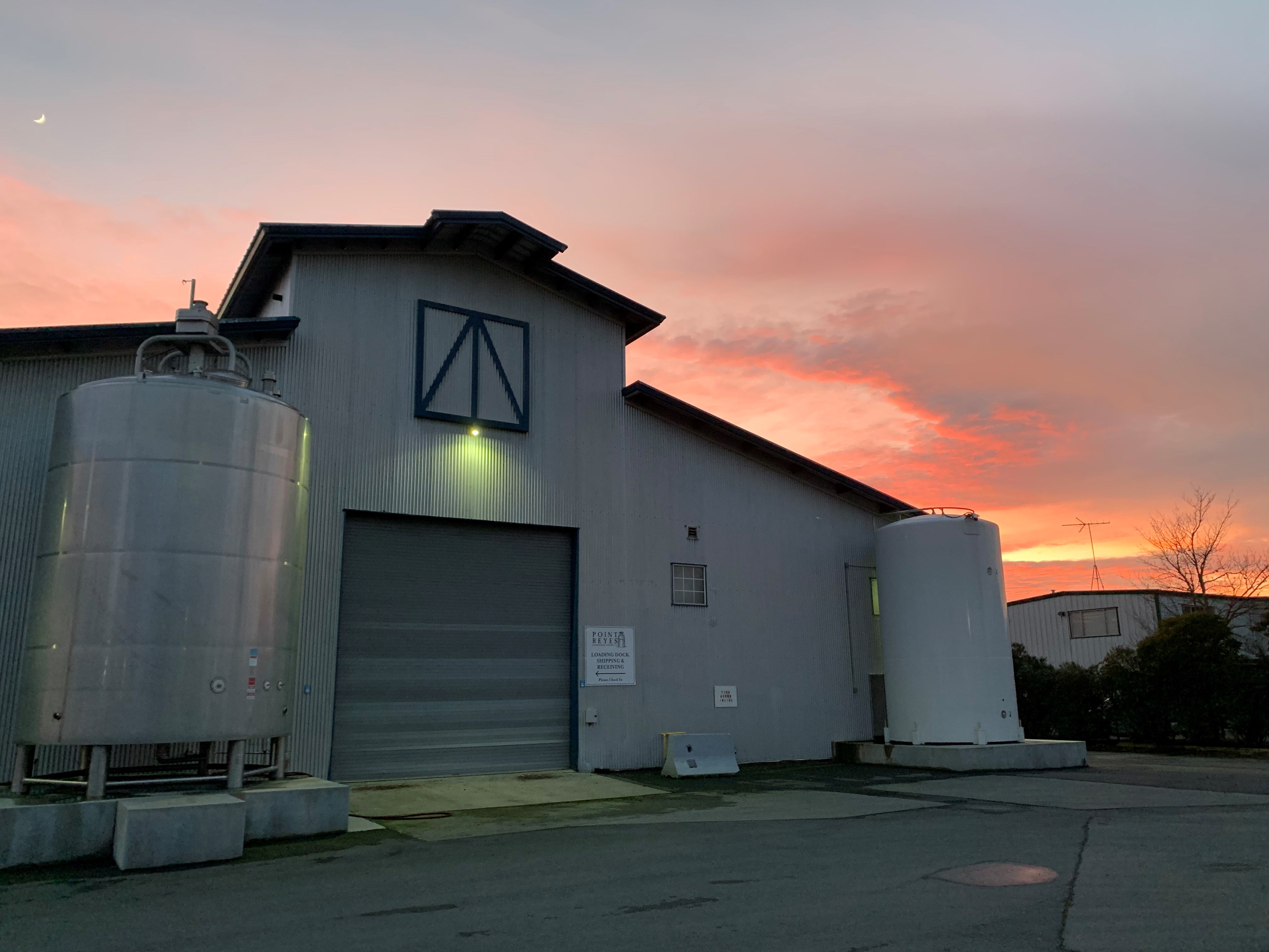 More Cheese Please! – Point Reyes Farmstead Cheese Company